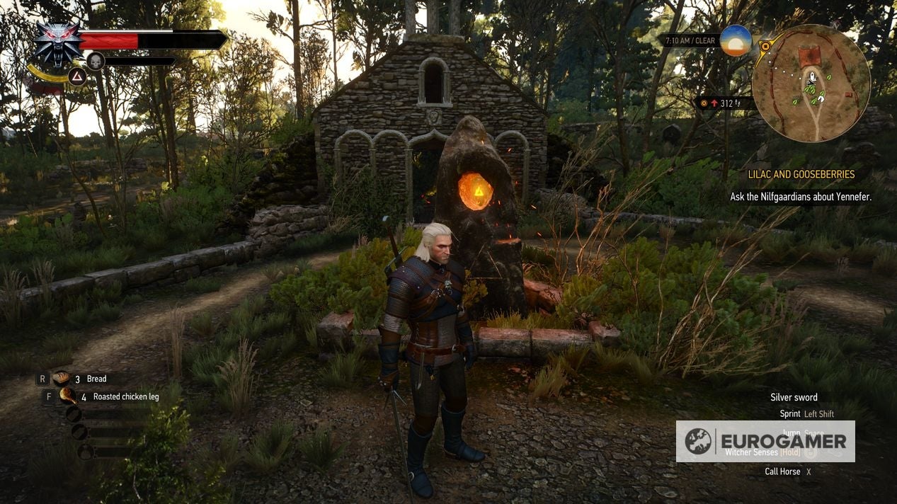The Witcher 3 Places of Power locations list | Eurogamer.net