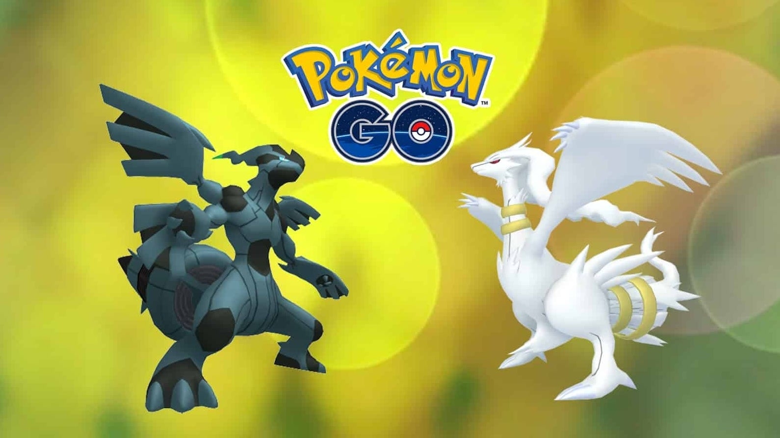 Pokémon Go - Zekrom Shiny e Reshiram Shiny - counters, fraquezas ...