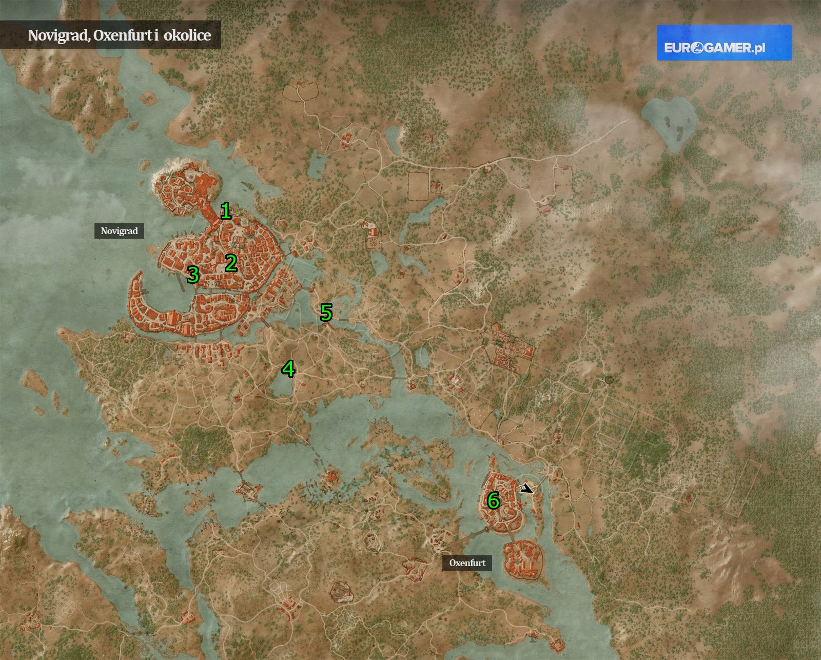 Wiedźmin 3 - Gwint, wszystkie karty: Novigrad | Eurogamer.pl