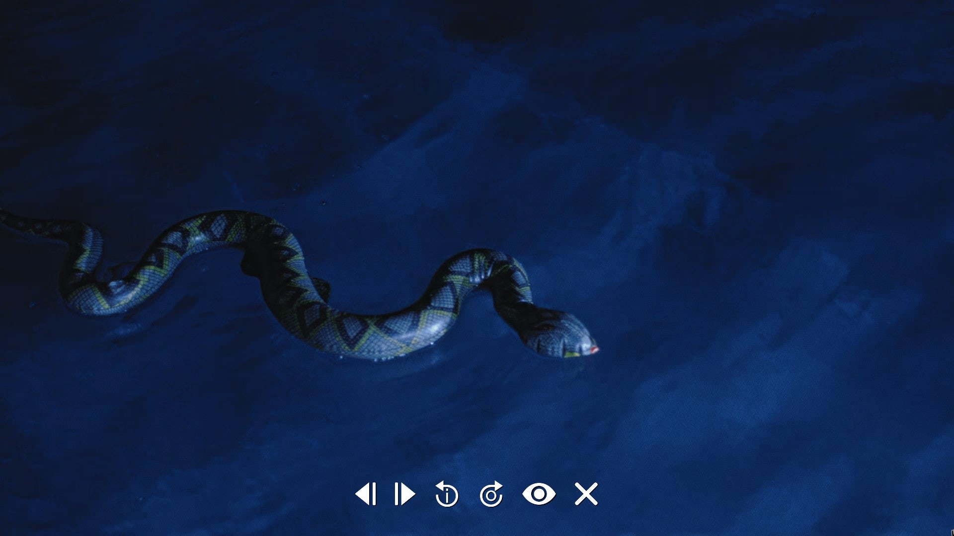 Immortality images, how to find every clip in Immortality | Eurogamer.net