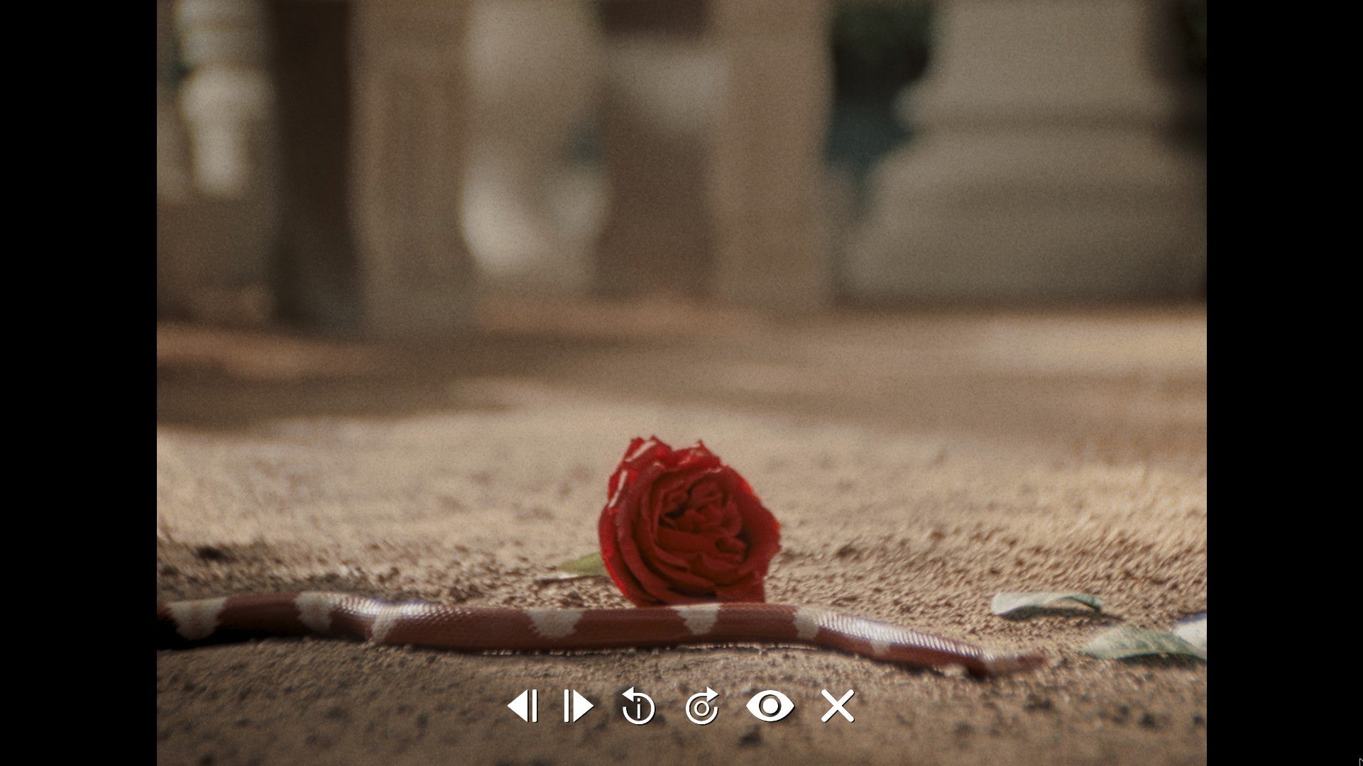 Immortality images, how to find every clip in Immortality | Eurogamer.net