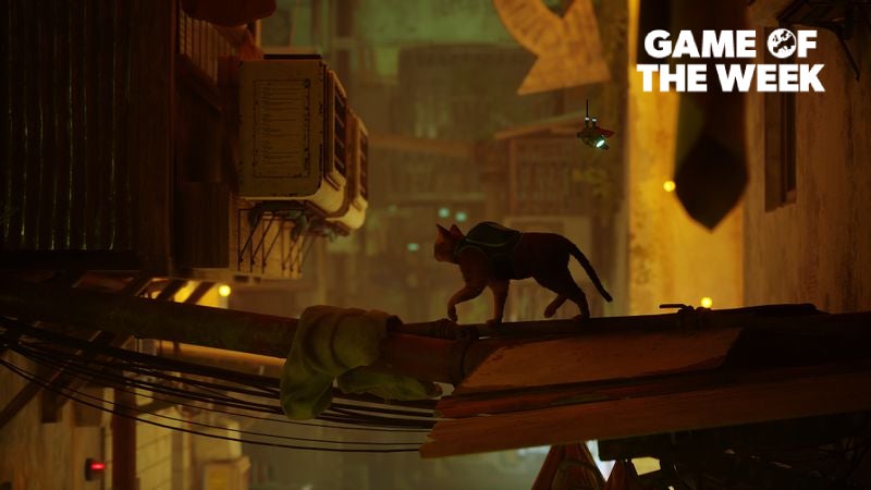 Pokémon Go Eevee evolution: How to evolve Eevee into Sylveon, Leafeon ...