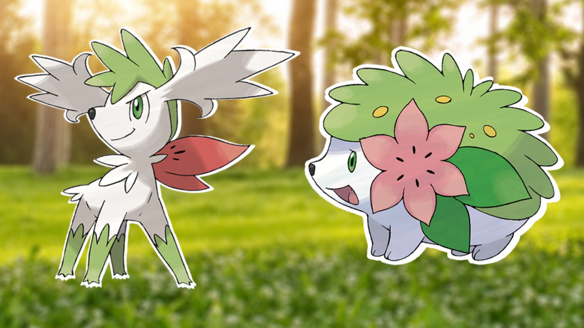 How to change Shaymin Forme in Pokémon Go | Eurogamer.net