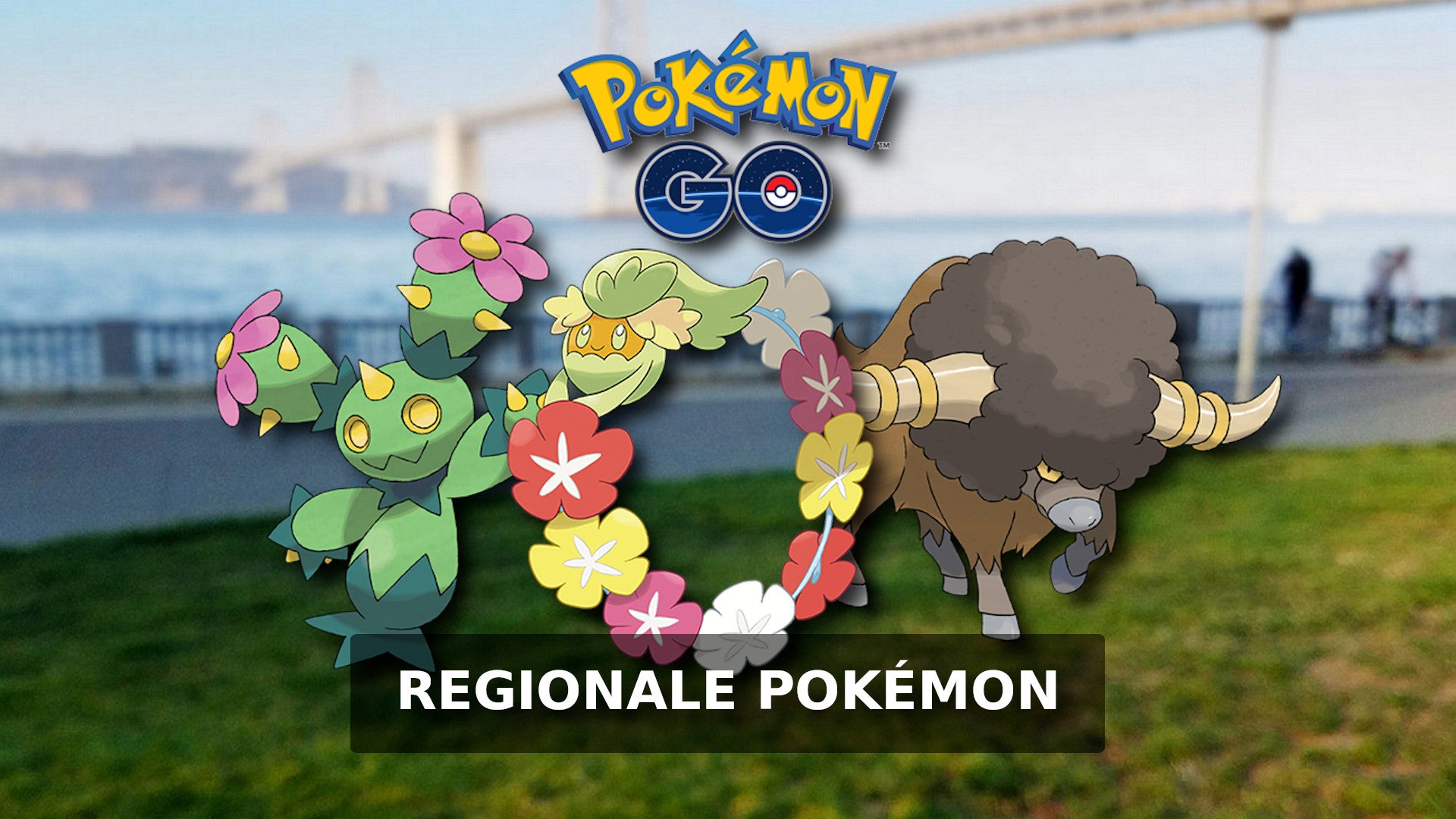Pokémon Go: Liste aller regionalen Pokémon 2022 | Eurogamer.de