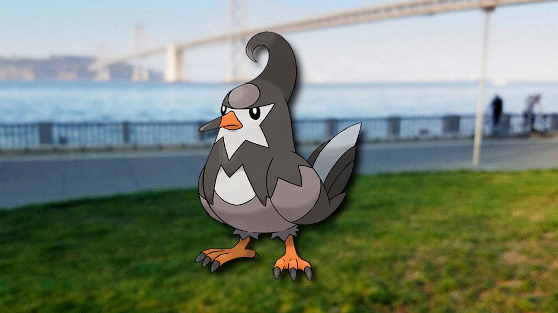 Pokémon Go: Staravia besiegen - Die besten Raid-Konter | Eurogamer.de