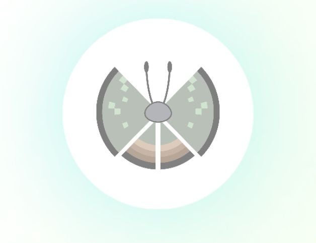 Pokémon Go Vivillon map, Vivillon patterns and how to get Scatterbug ...