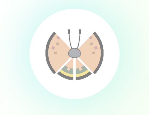 Pokémon Go Vivillon map, Vivillon patterns and how to get Scatterbug ...