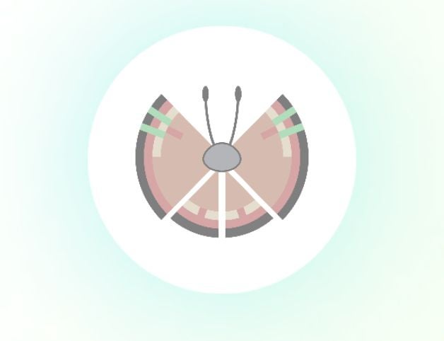 Pokémon Go Vivillon map, Vivillon patterns and how to get Scatterbug ...