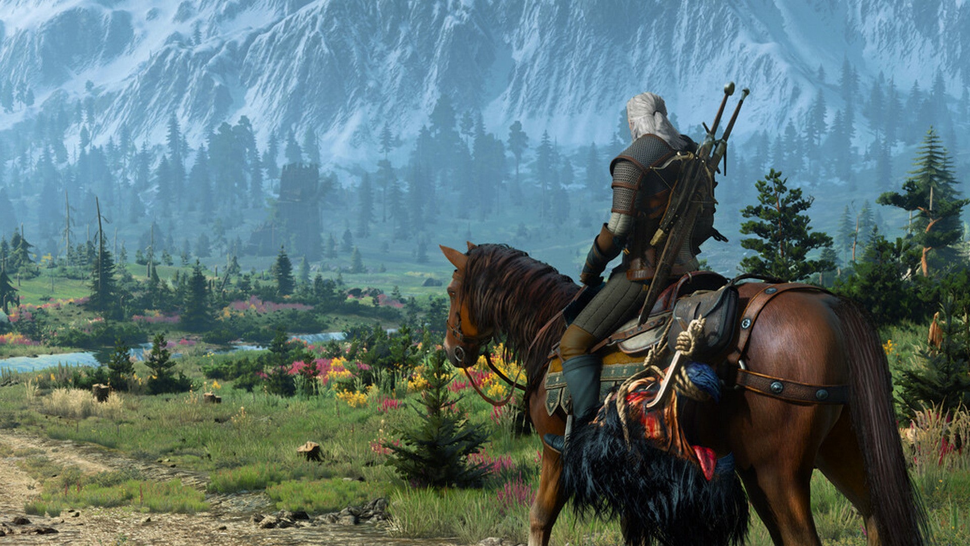 The Witcher 3: Komplettlösung - Alle Quests und Gebiete | Eurogamer.de