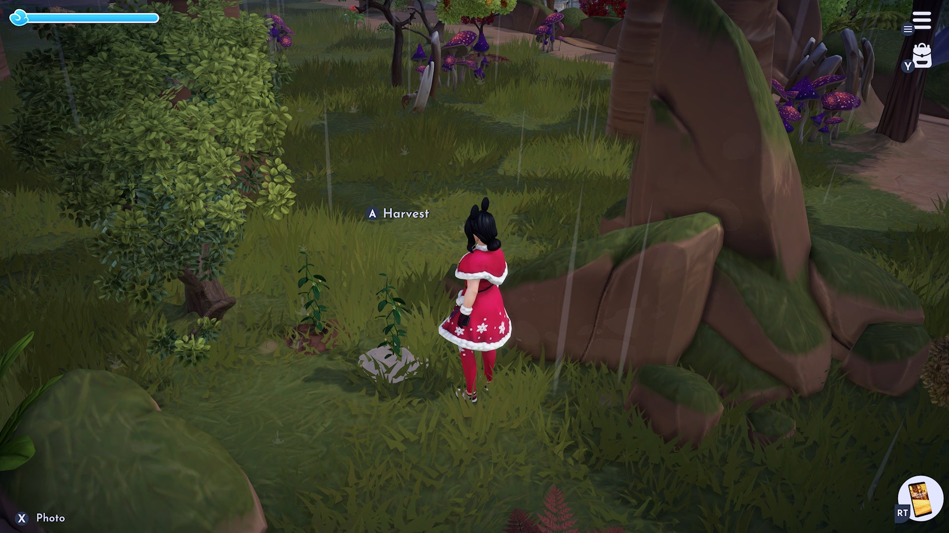 How to make yule log in Disney Dreamlight Valley | Eurogamer.net