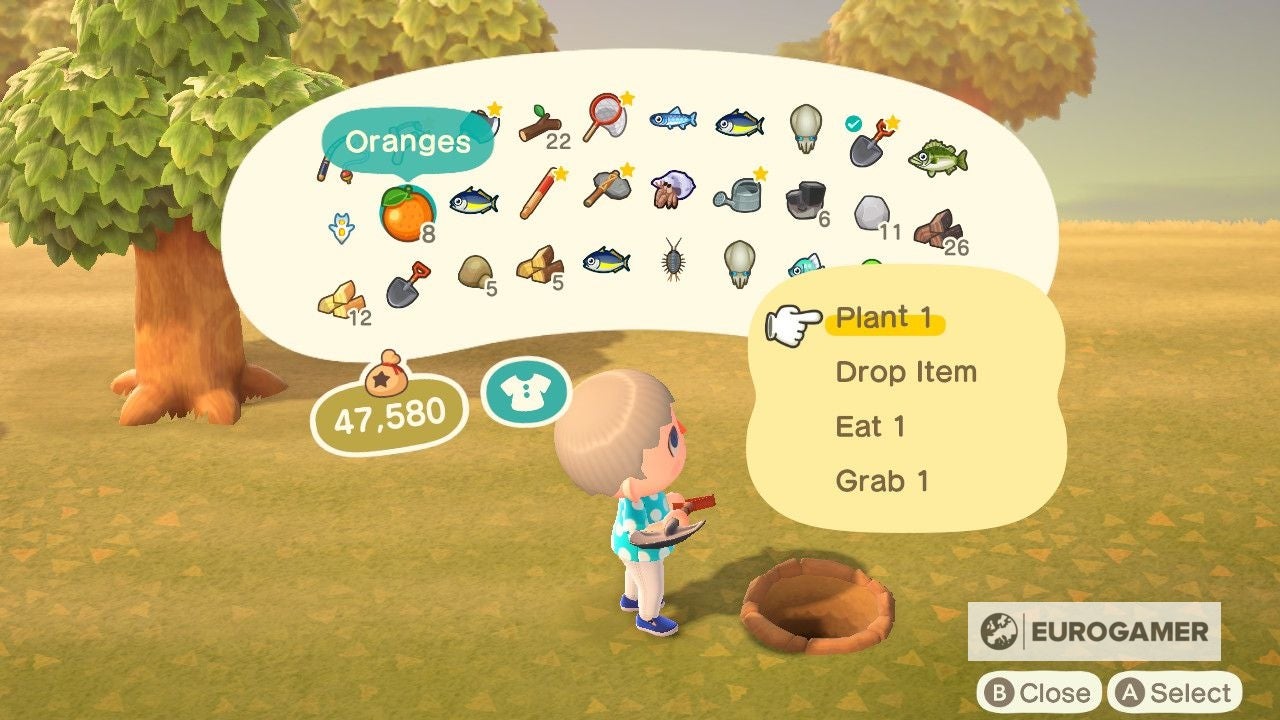 Animal Crossing fruit: Grow back time, eating benefits and how to plant ...