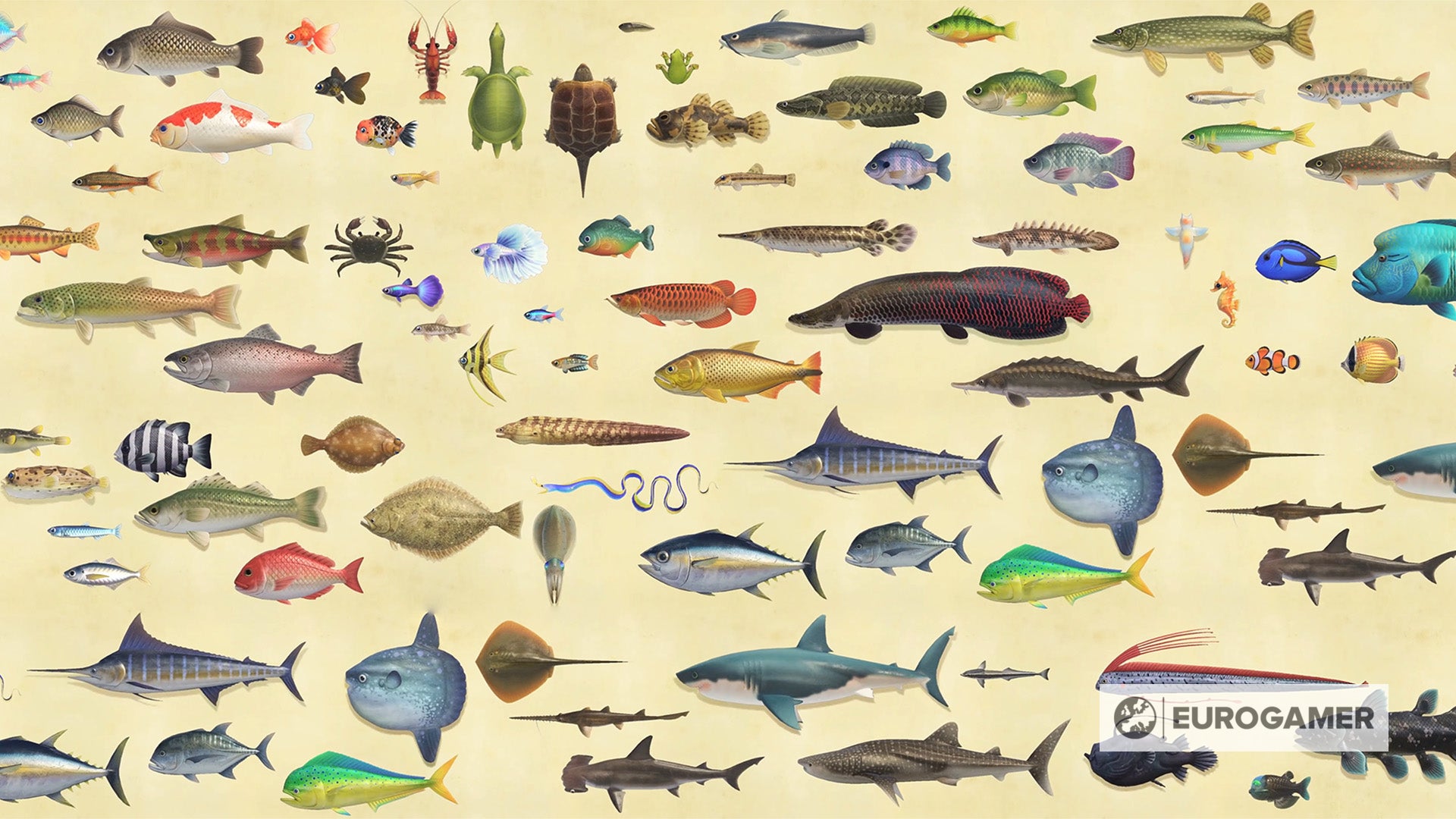 Animal Crossing: New Horizons - Alle Fische im März und welche es gibt ...