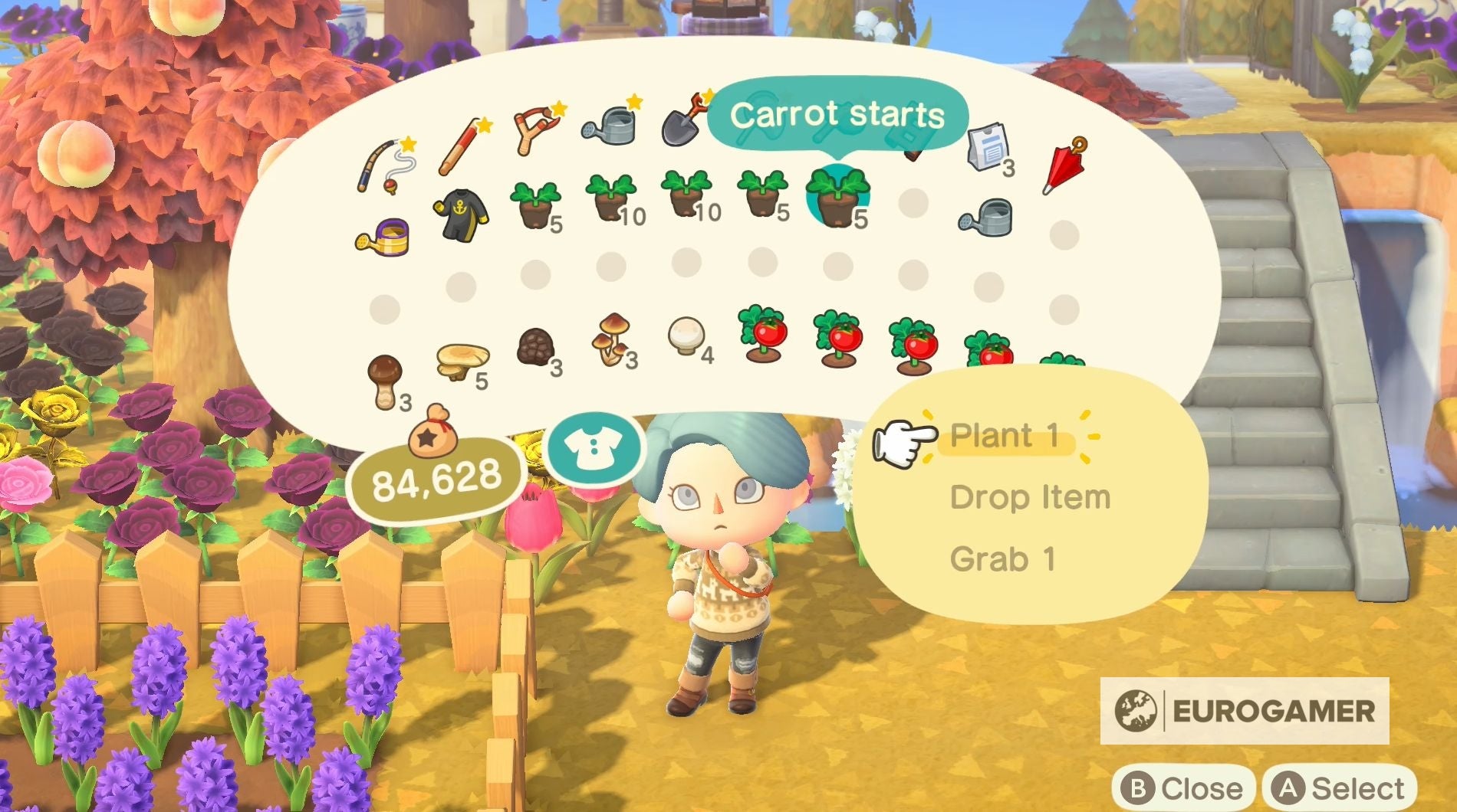 Animal Crossing Carrots, Potatoes and Tomatoes: Where to find and how ...