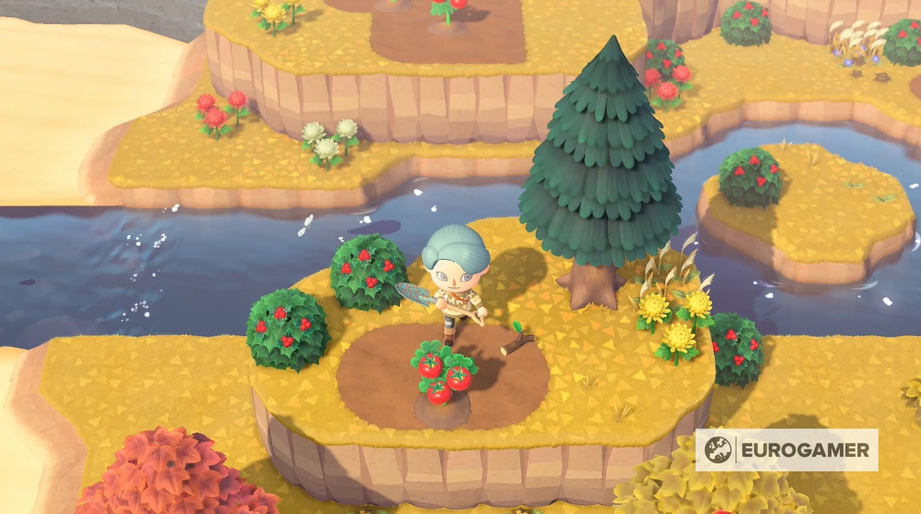 Animal Crossing Carrots, Potatoes and Tomatoes: Where to find and how ...