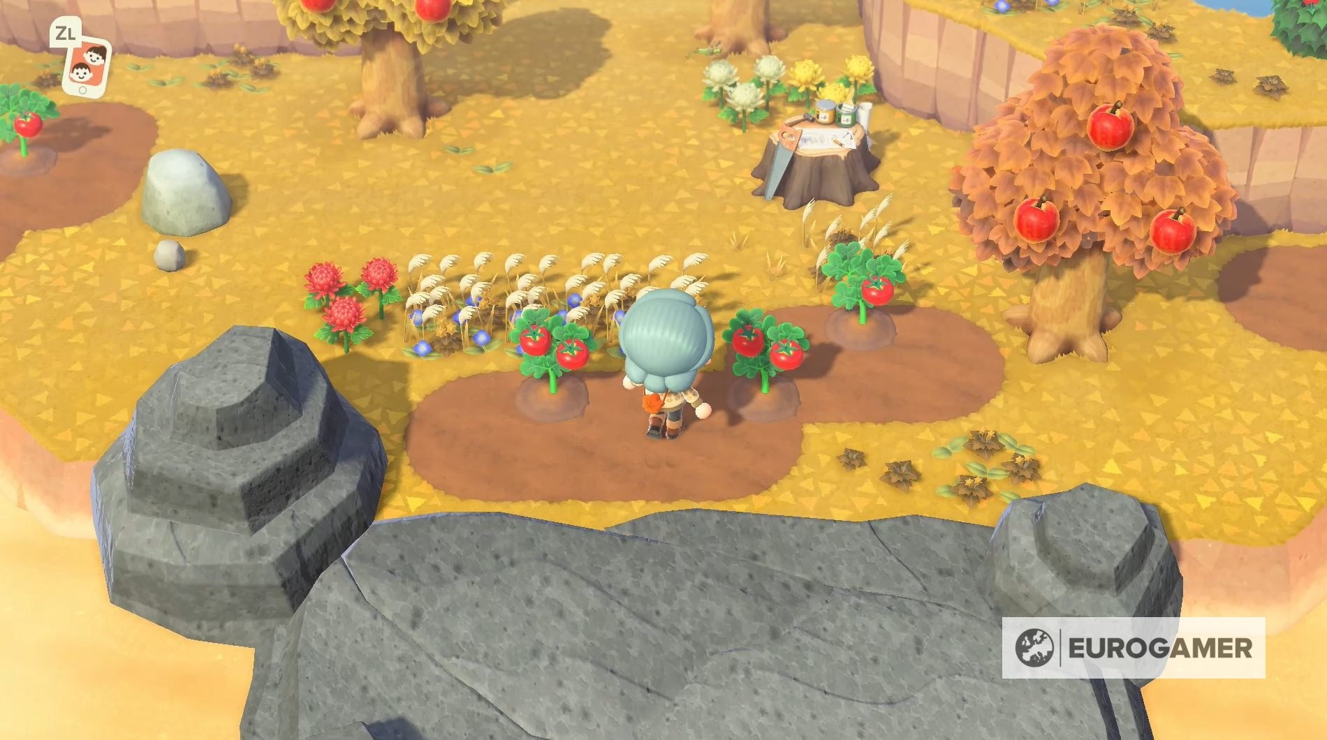 Animal Crossing Carrots, Potatoes and Tomatoes: Where to find and how ...