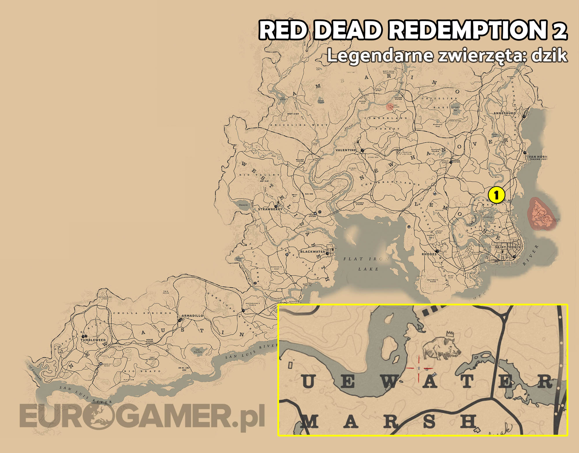 Red Dead Redemption 2 - legendarne zwierzęta: dzik | Eurogamer.pl