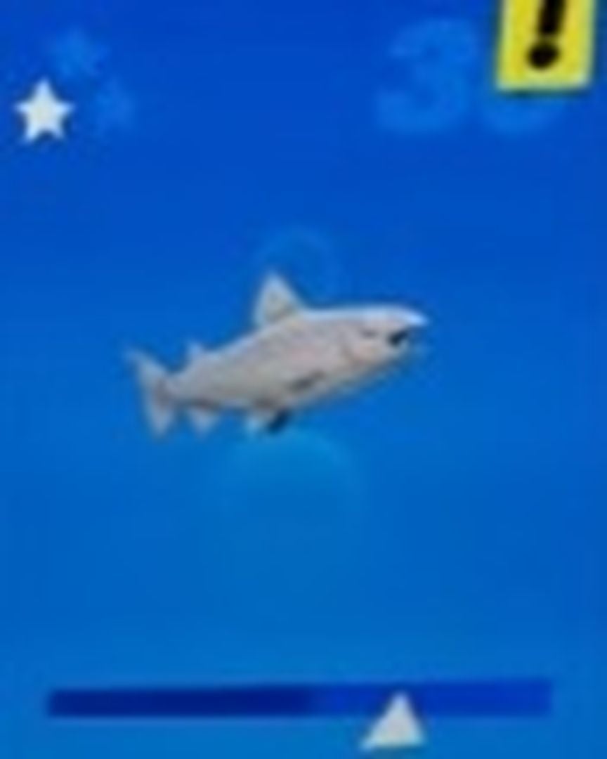 Fortnite Fish Collection locations - Where to find all 33 fishes and ...