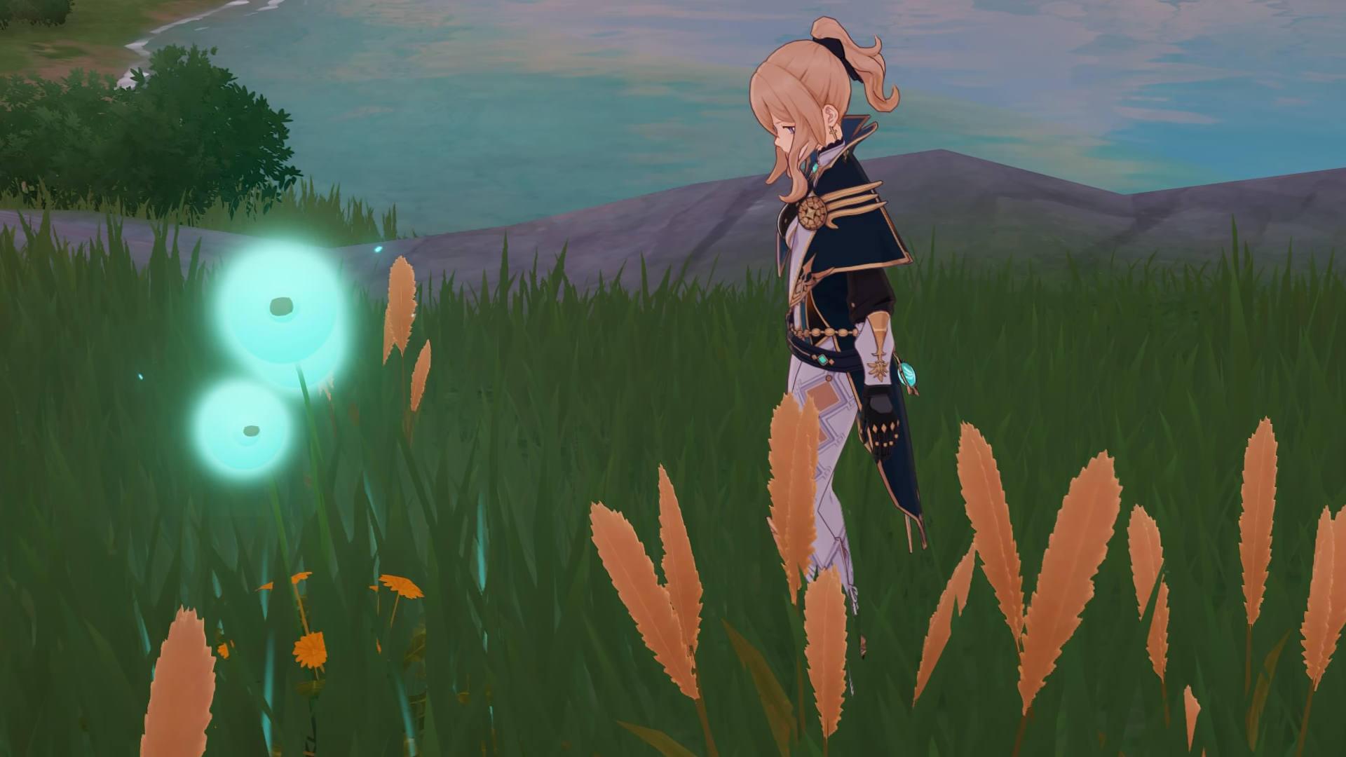 Genshin Impact Dandelion Seeds locations and where to find Dandelion ...