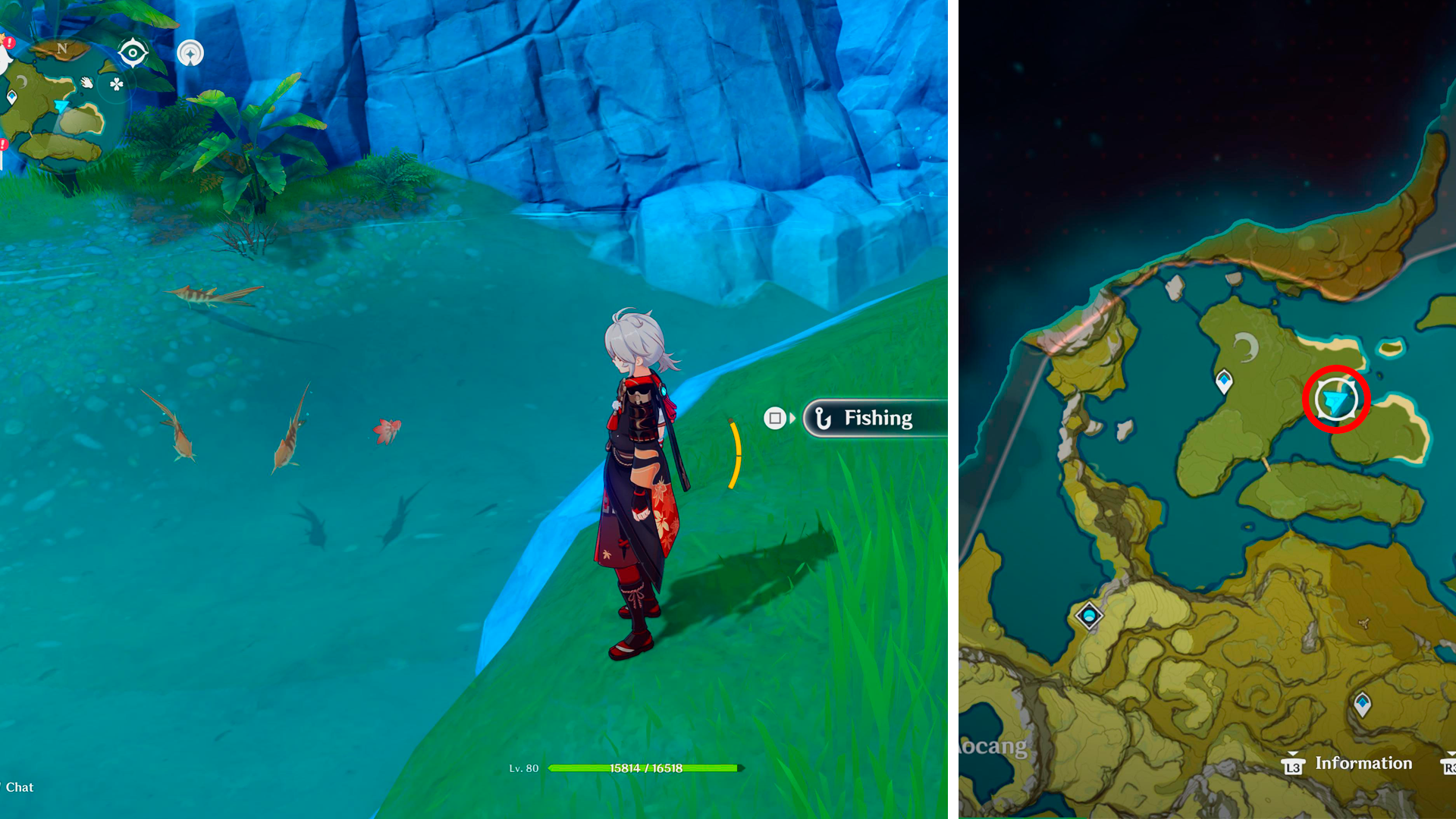 Genshin Impact Fishing Spot locations, including which fish can be ...