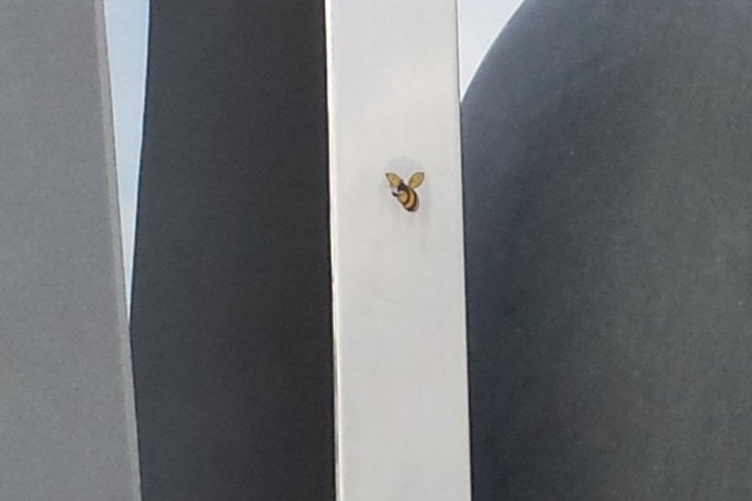 Historic real-life Eve monument defaced in days | Eurogamer.net