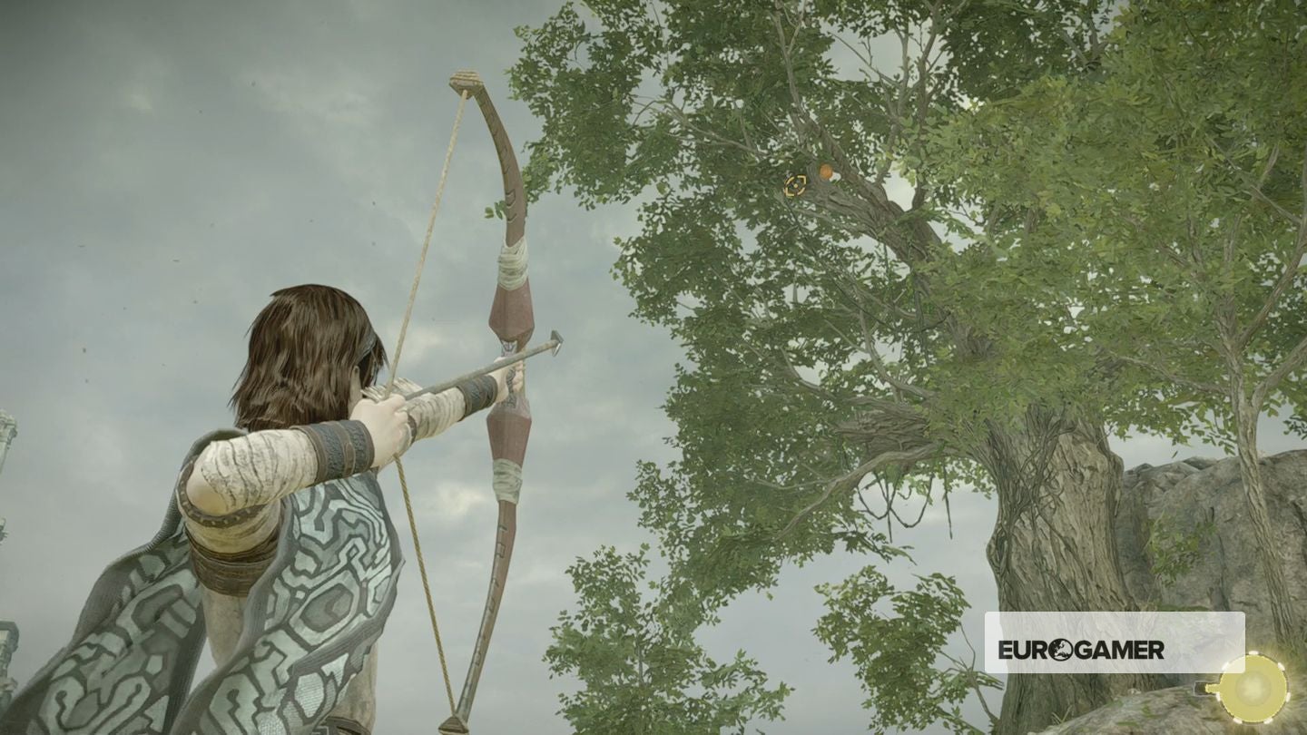 Shadow of the Colossus lizards, fruit trees, health and stamina ...