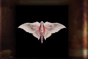 Monster Hunter World's Insect Glaive: Best Insect Glaive build ...