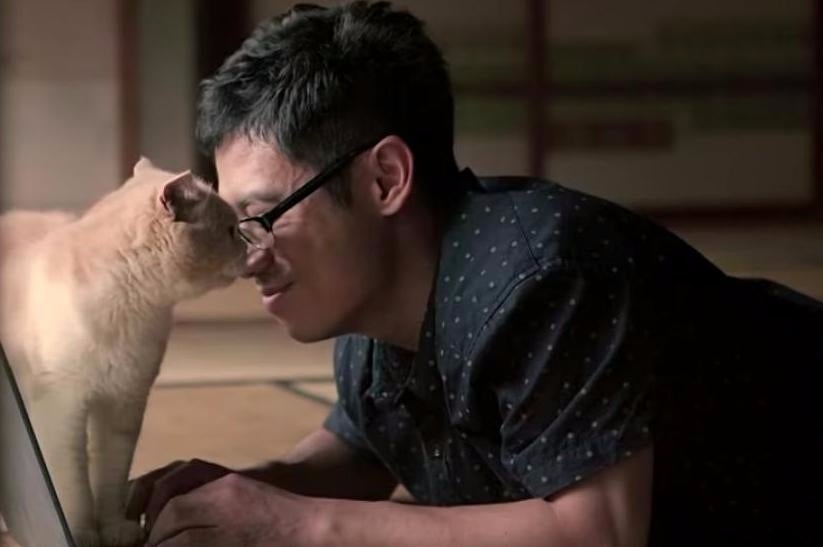 Neko Atsume VR: Kitty Collector might be the most adorable VR game ever ...