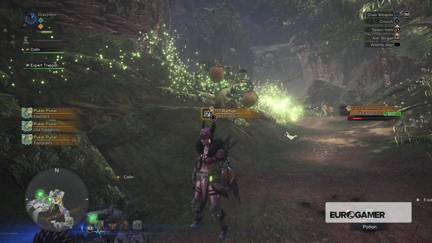 Monster Hunter World - ??? Rathian Tracks and Pink Rathian strategy ...