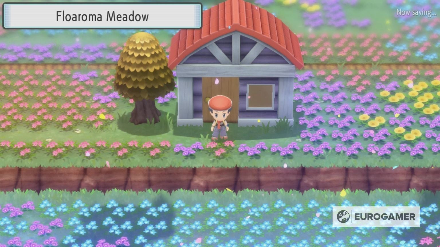 Floaroma Town, Meadow and Valley Windworks - Pokémon, trainers and ...