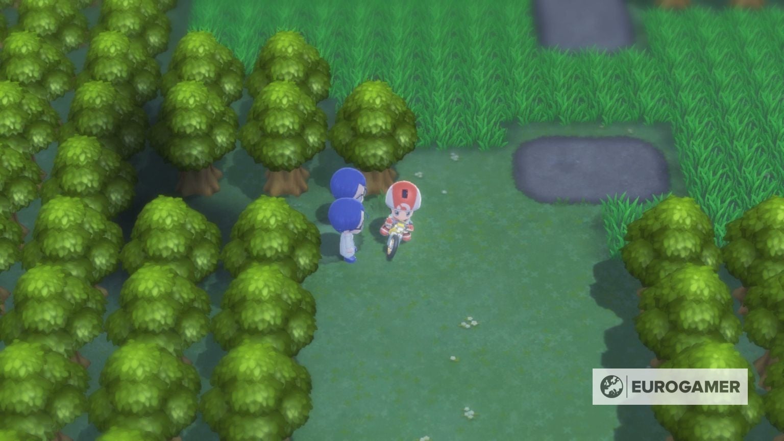 Valor Lakefront and Hotel Grand Lake Suit Key location and Pokémon ...