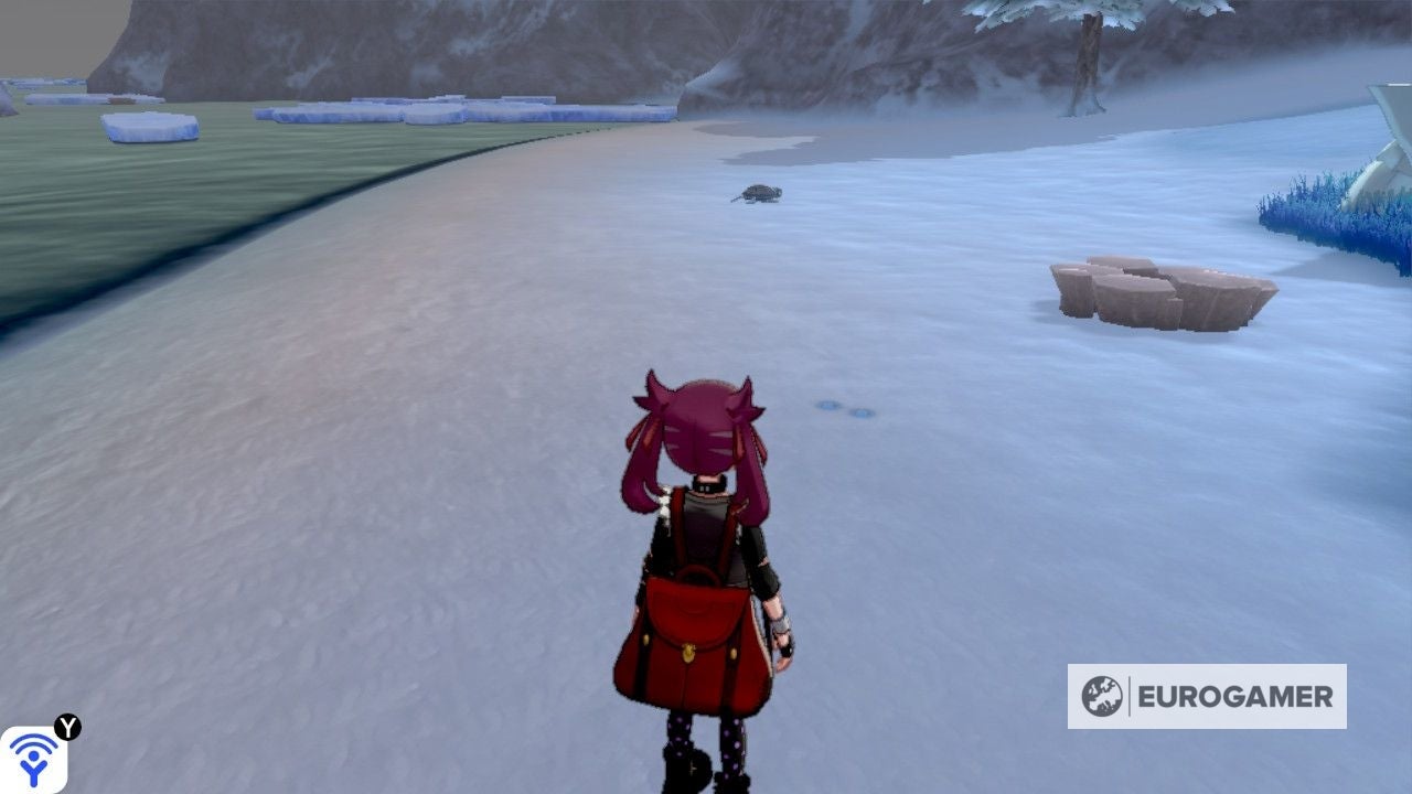 Pokémon Crown Tundra Footprints: How to find Cavern, Grasslands and ...