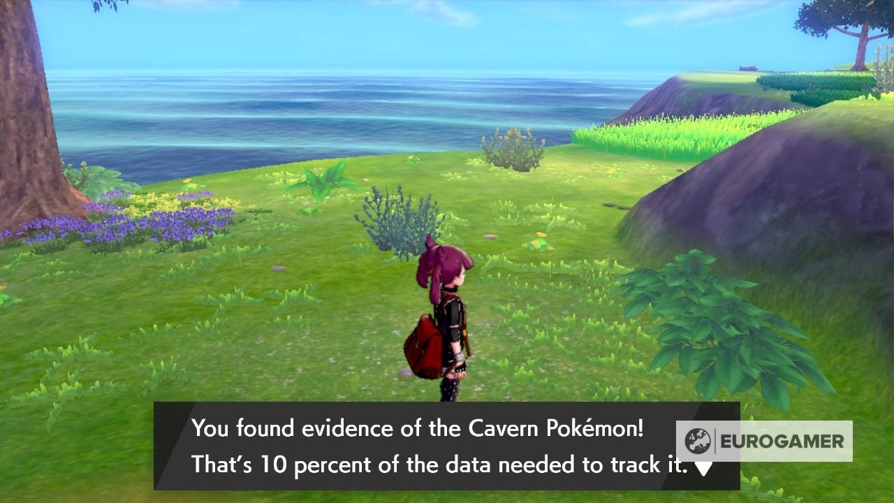 Pokémon Crown Tundra Footprints: How to find Cavern, Grasslands and ...