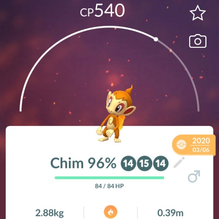 Chimchar 100% perfect IV stats, shiny Chimchar in Pokémon Go explained ...
