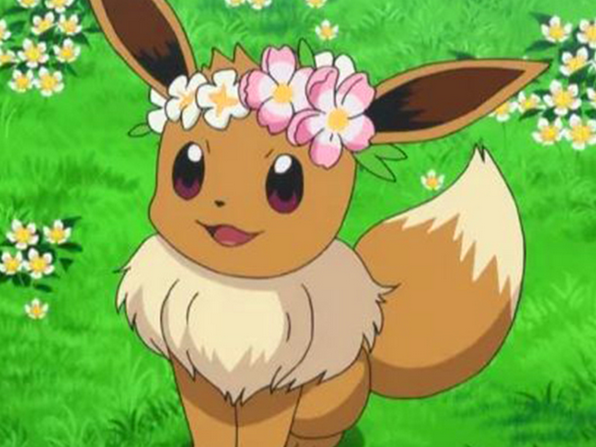 Pokémon Go: Jetzt gibt es zwei Monate lang Evoli mit Blumenkranz für ...