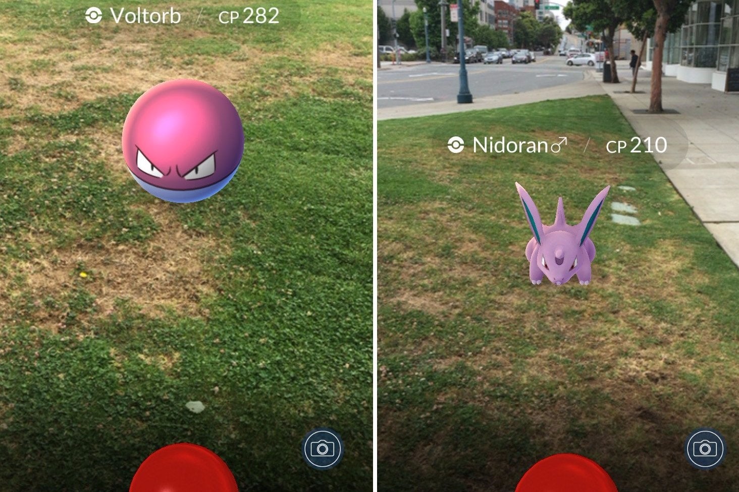 Pokémon Go - How to find Pokémon in spawn locations, biomes and using ...