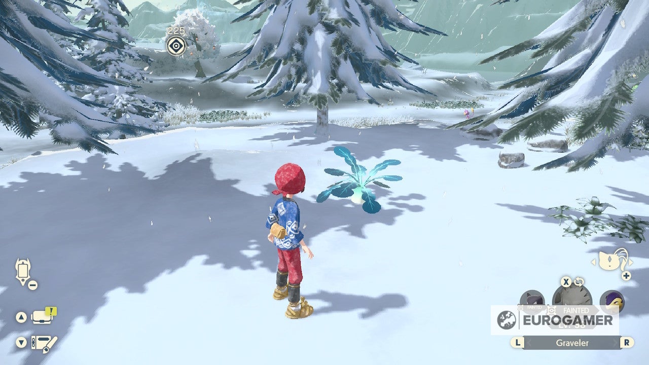 Pokémon Legends Arceus - Sand Radish locations for Request 71 explained ...