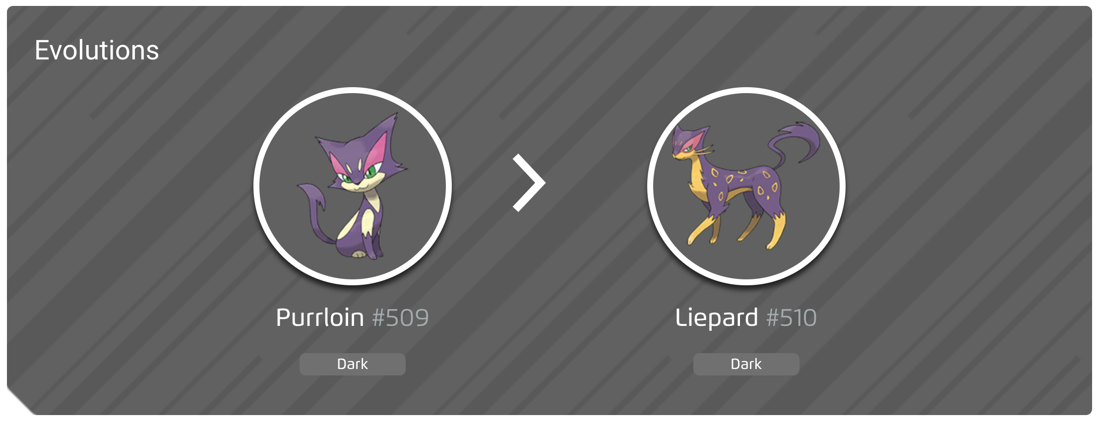 Pokemon Purrloin Evolution