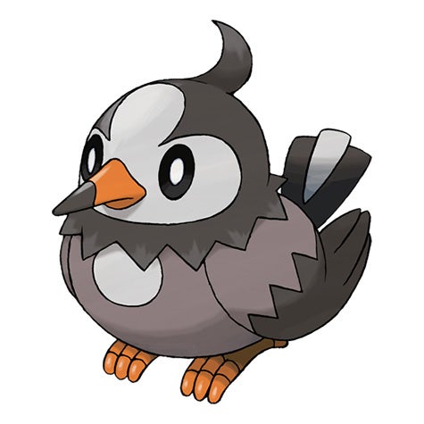 Shiny Starly, evolution chart, 100% perfect IV stats and Staraptor best ...