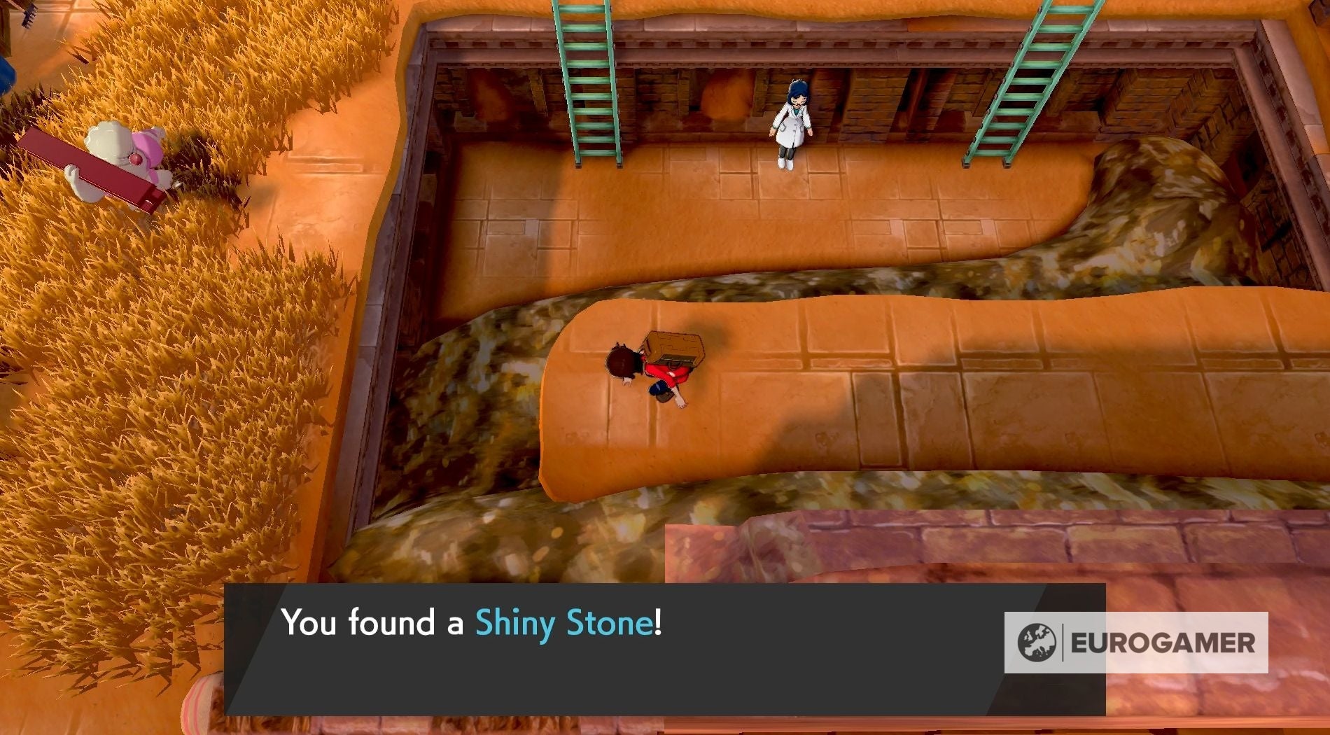 Pokémon Sword and Shield Evolution Stones explained -which Pokémon ...