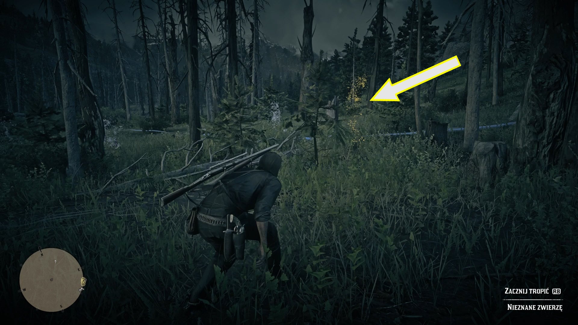 Red Dead Redemption 2 - legendarne zwierzęta: jeleń | Eurogamer.pl