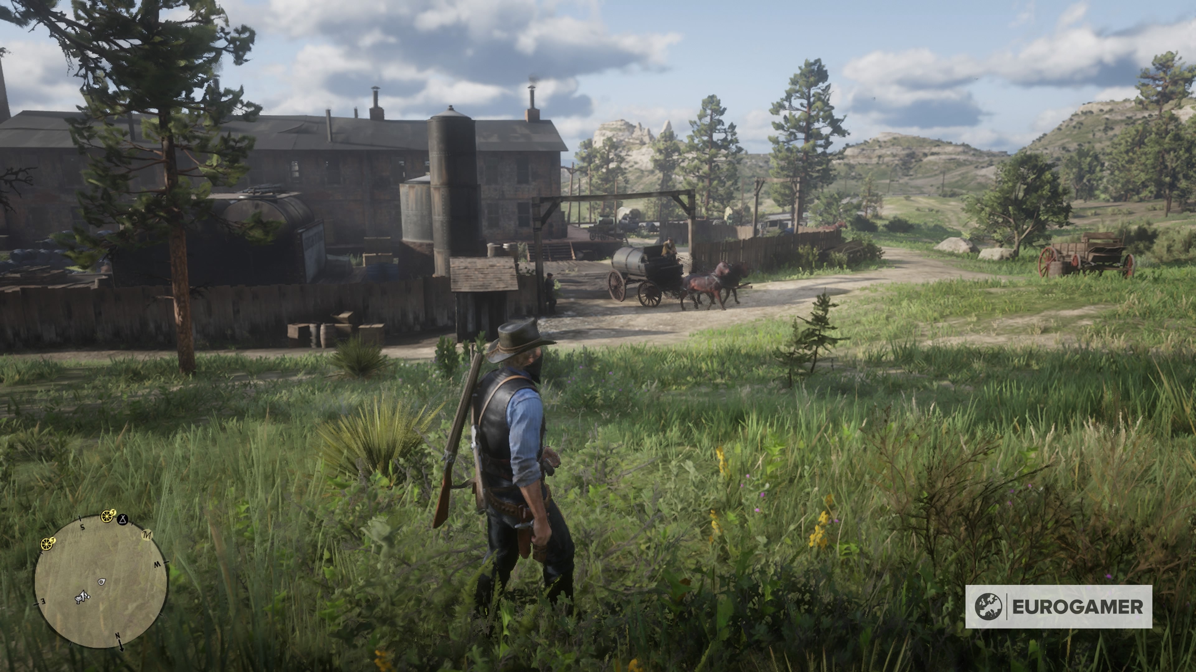 Red Dead Redemption 2: Alle Pflanzen und wo ihr sie findet | Eurogamer.de