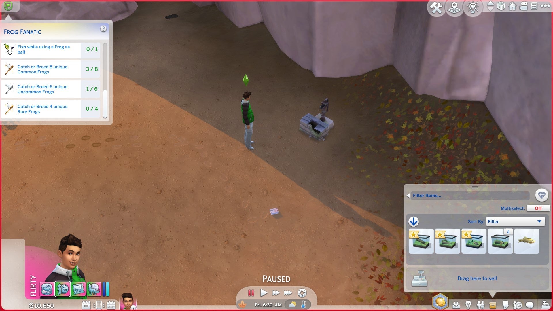 The Sims 4 Frog Fanatic scenario guide, from catching to breeding frogs ...