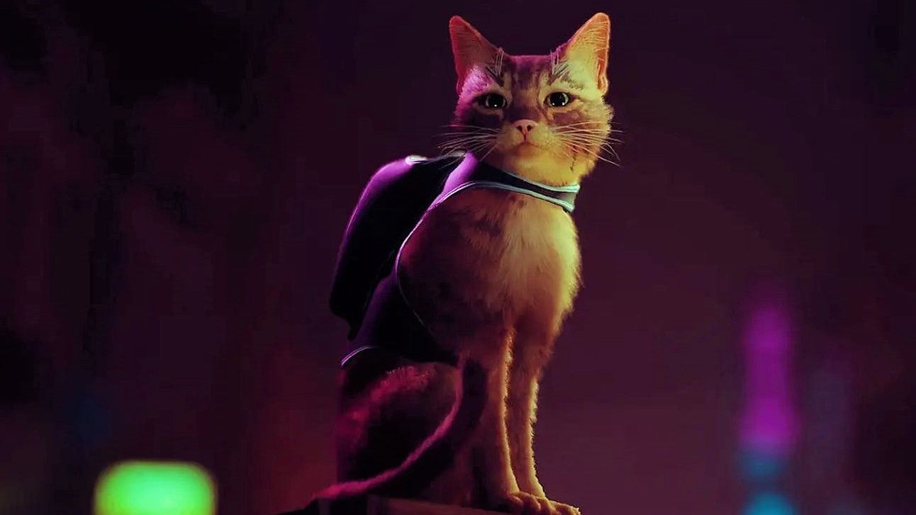 Stray: So klein ist das Katzenspiel auf der PS4 und PS5 | Eurogamer.de