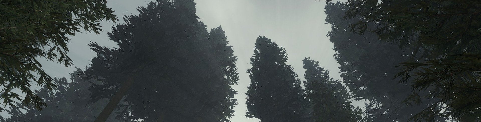 First-person open-world survival horror game The Forest looks brilliant ...