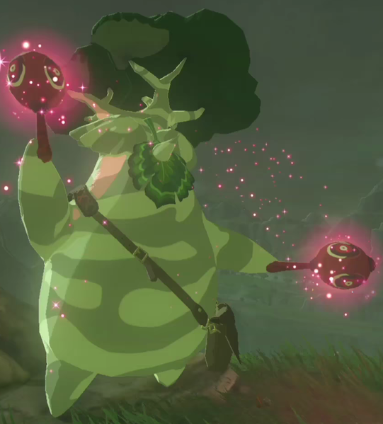 The reward for collecting all 900 Zelda: Breath of the Wild Korok seeds ...