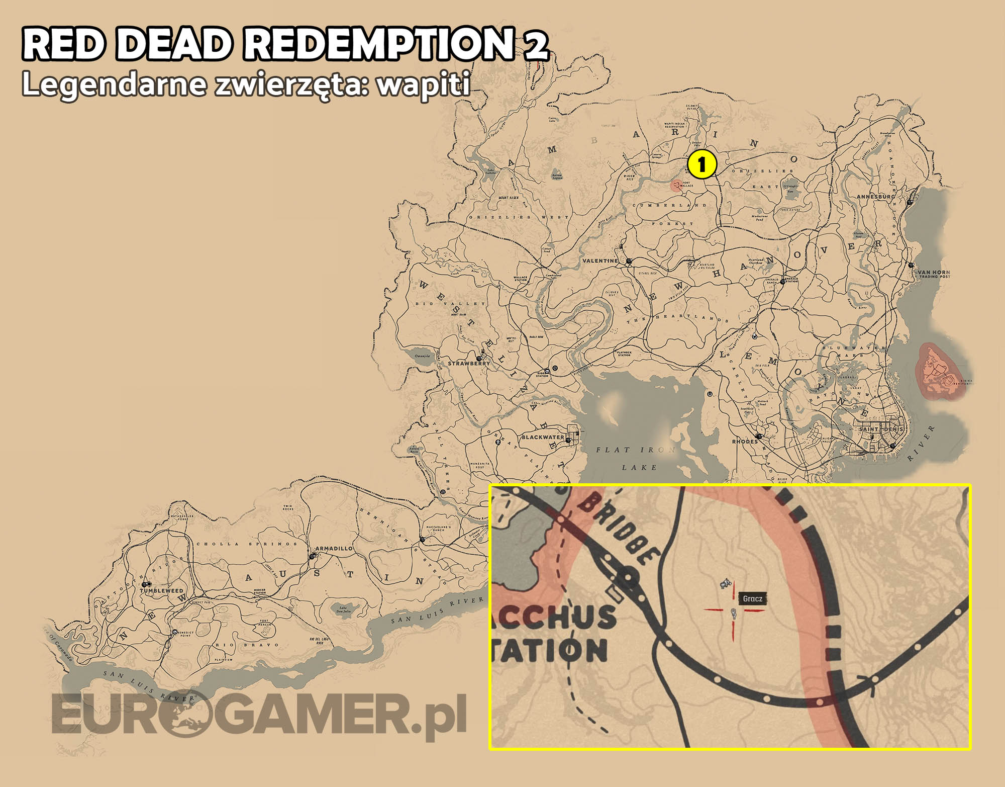 Red Dead Redemption 2 - legendarne zwierzęta: wapiti | Eurogamer.pl