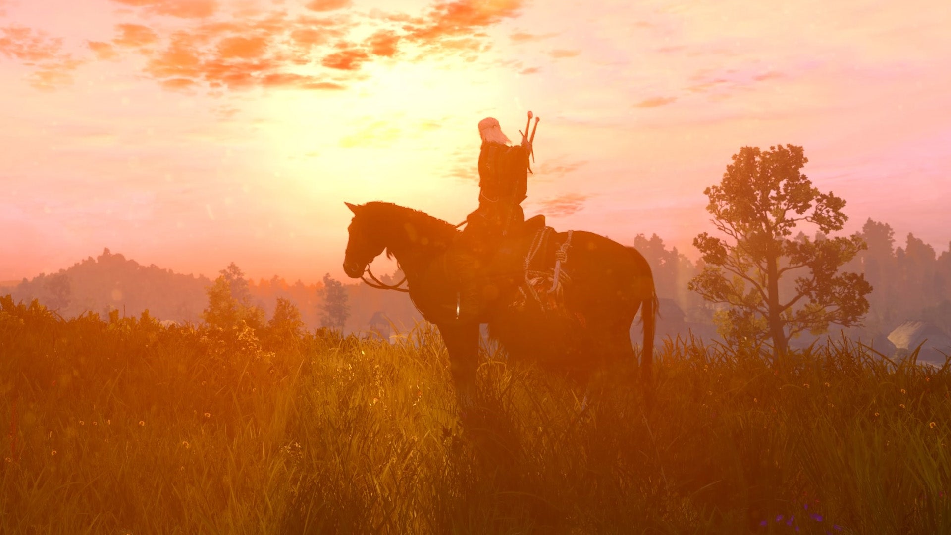 Geralt może pogłaskać Płotkę dzięki next-genowej aktualizacji Wiedźmina ...