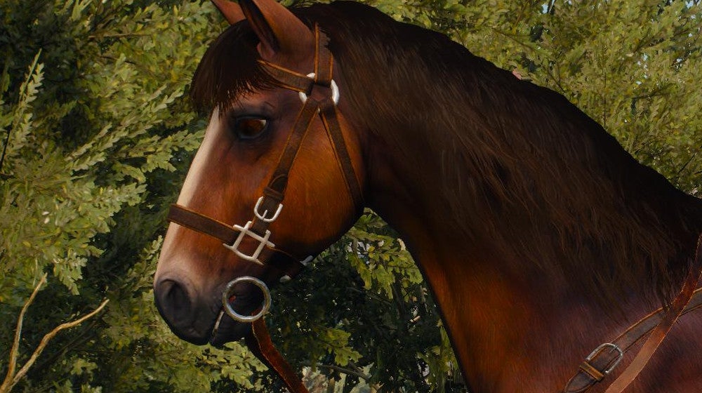 Wiedźmin od Netflixa - koń Hector w filmie od Henry'ego Cavilla ...