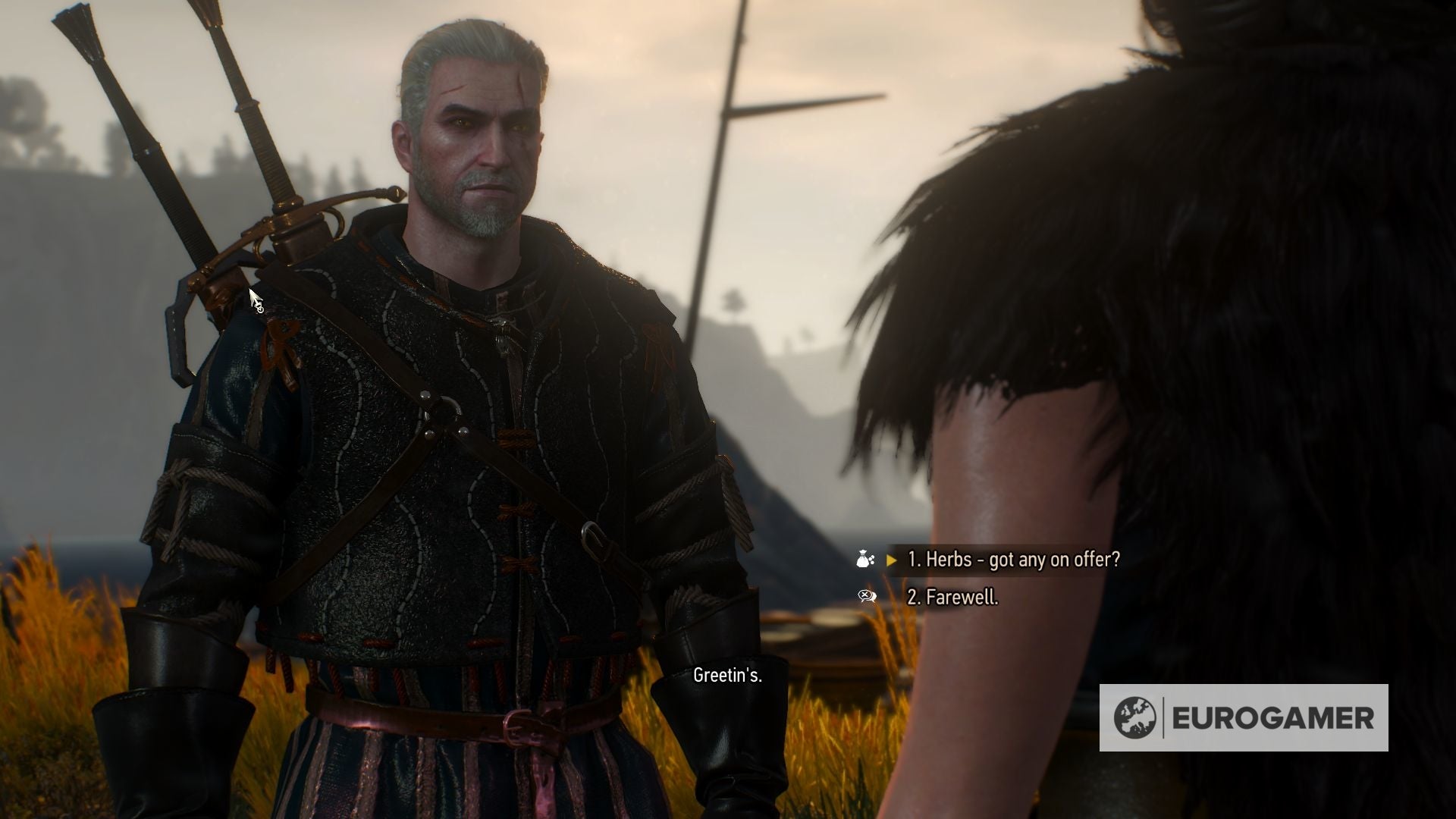 The Witcher 3 money making methods explained | Eurogamer.net