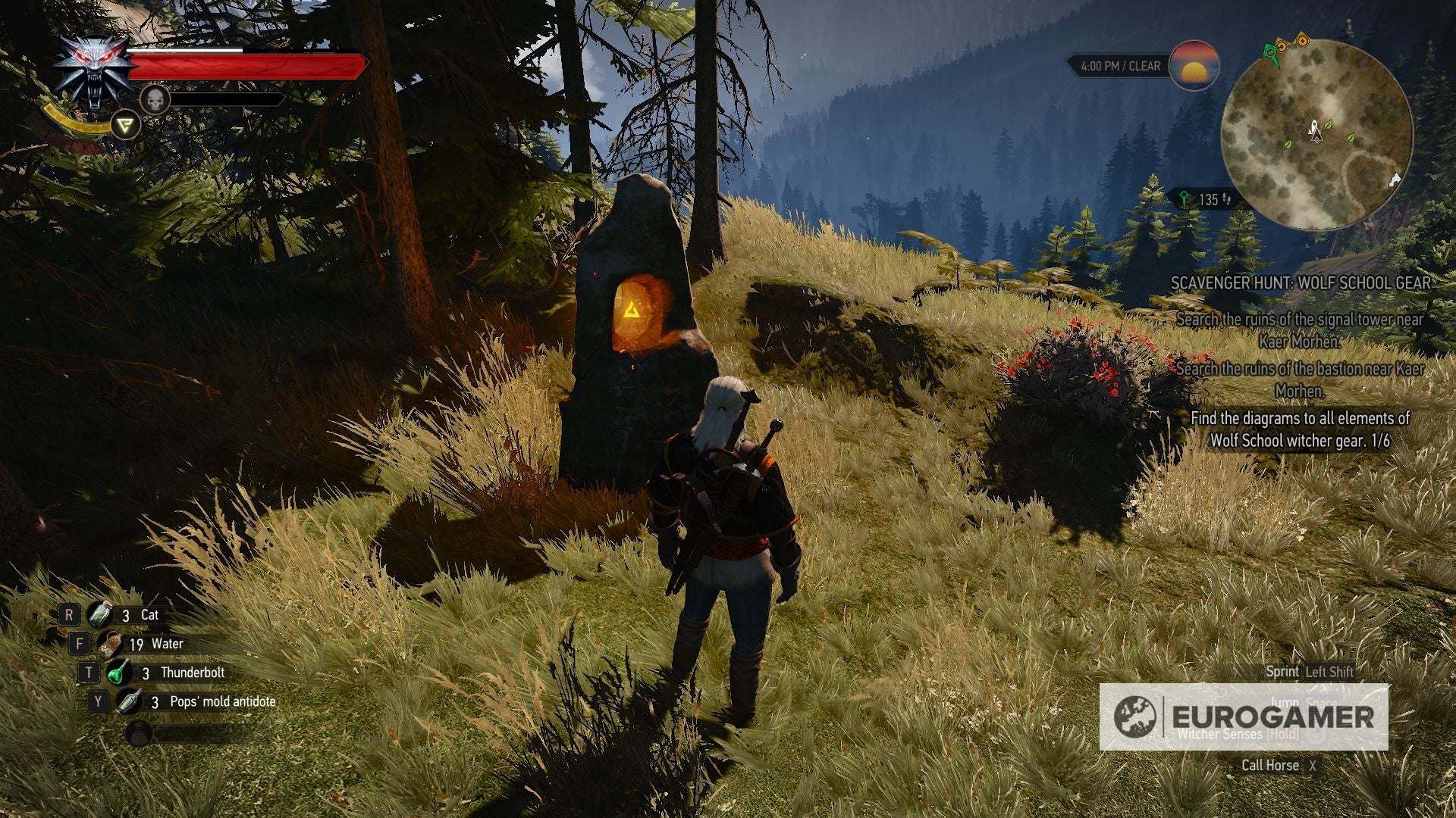 The Witcher 3 Places of Power locations list | Eurogamer.net